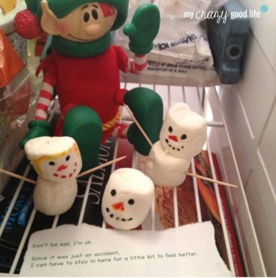 Elf On The Shelf Emergency Tips : My Crazy Good Life